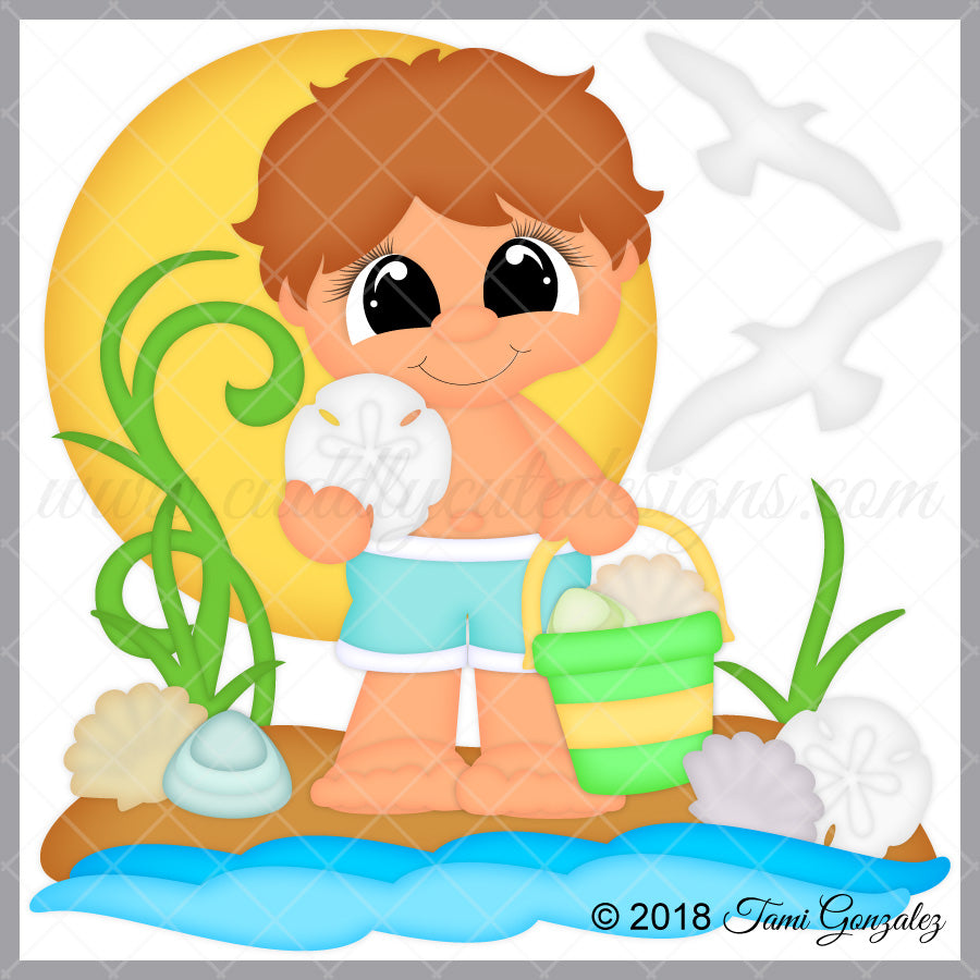 Seashells - Boy – Cuddly Cute Designs